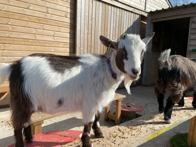 Church Farm Anslow REVIEW - Lovely Local Indie